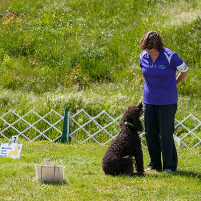 HELP - PawPrint Trials