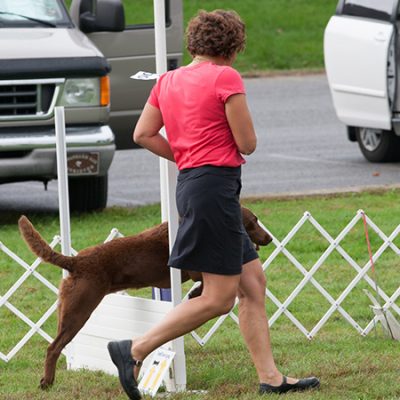 HELP - PawPrint Trials