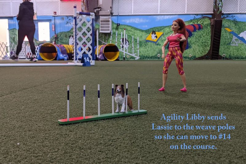 ABOUT PPT - PawPrint Trials